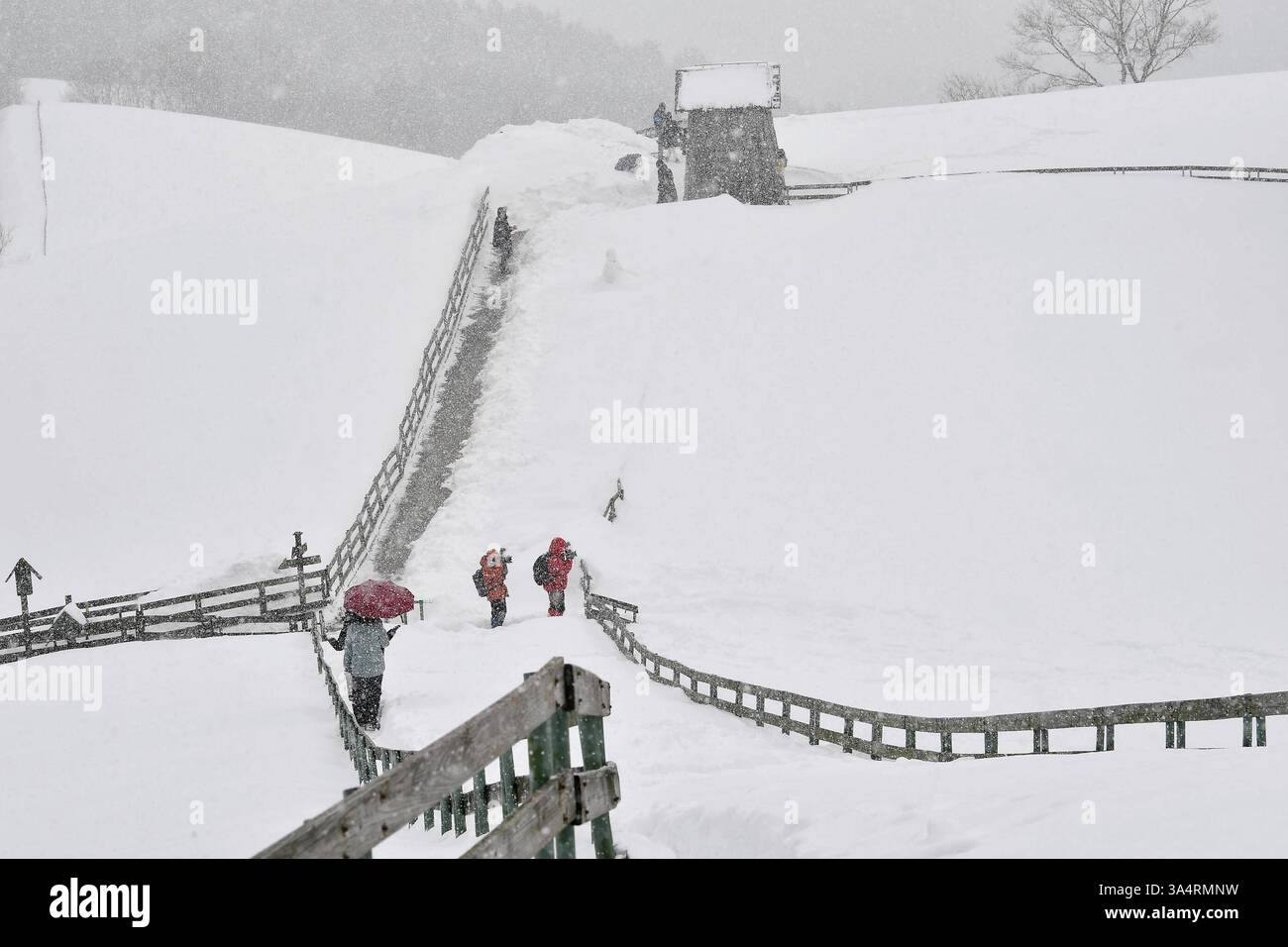 Heavy snowfall in South Korea People walk in snow covered Daegwallyeong ...