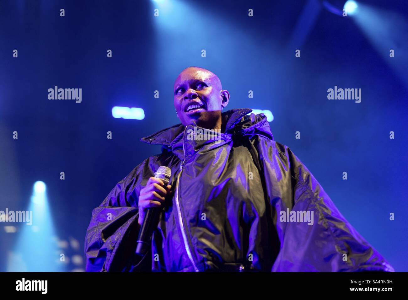 Deborah Anne Dyer aka Skin, singer of Skunk Anansie, live at the ...