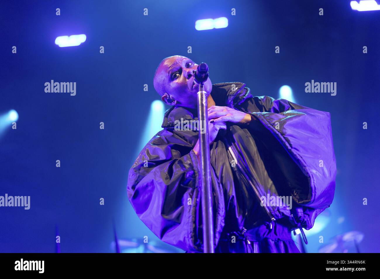 Deborah Anne Dyer aka Skin, singer of Skunk Anansie, live at the ...