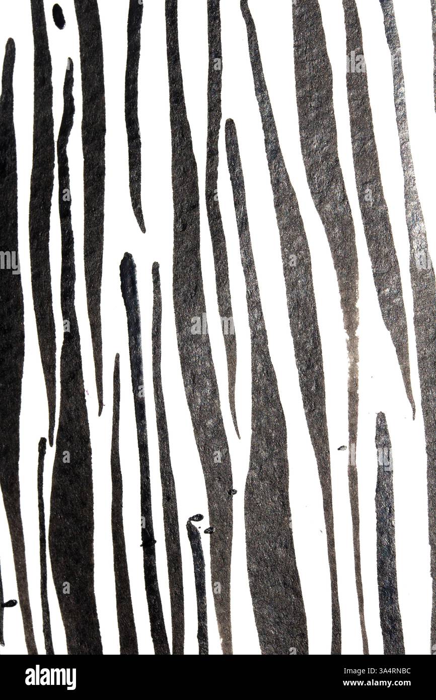 Thick Ink Pen Black Lines on White Background Zebra Skin Barcode Shapes ...