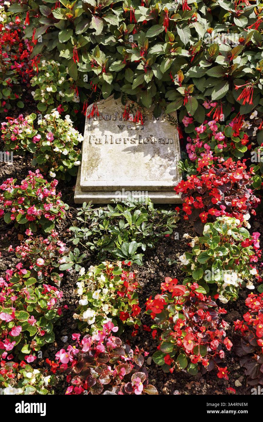 Grave of August Heinrich Hoffmann von Fallersleben, grave slab with ...