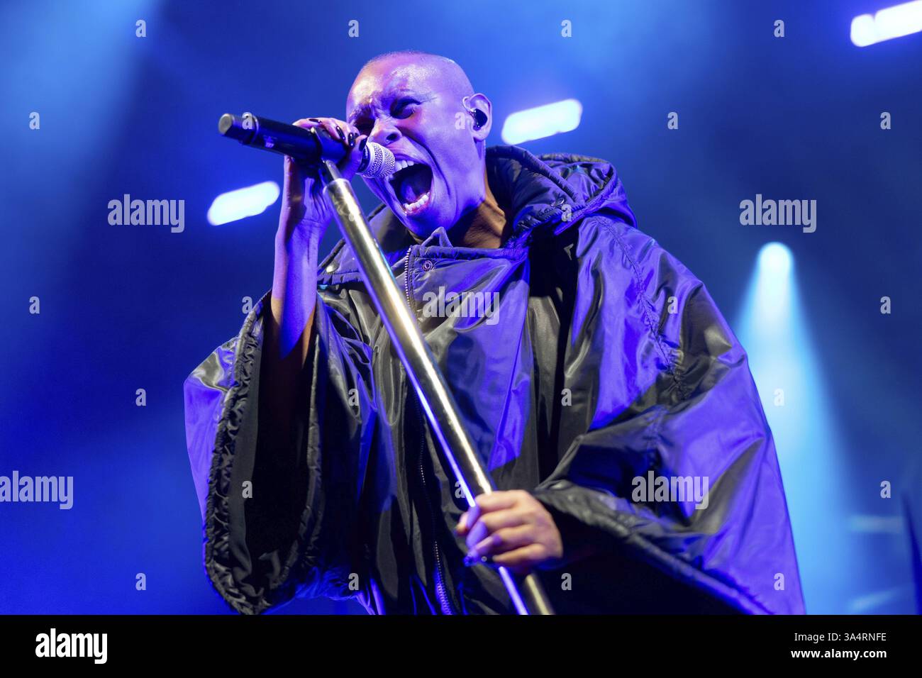 Deborah Anne Dyer aka Skin, singer of Skunk Anansie, live at the ...