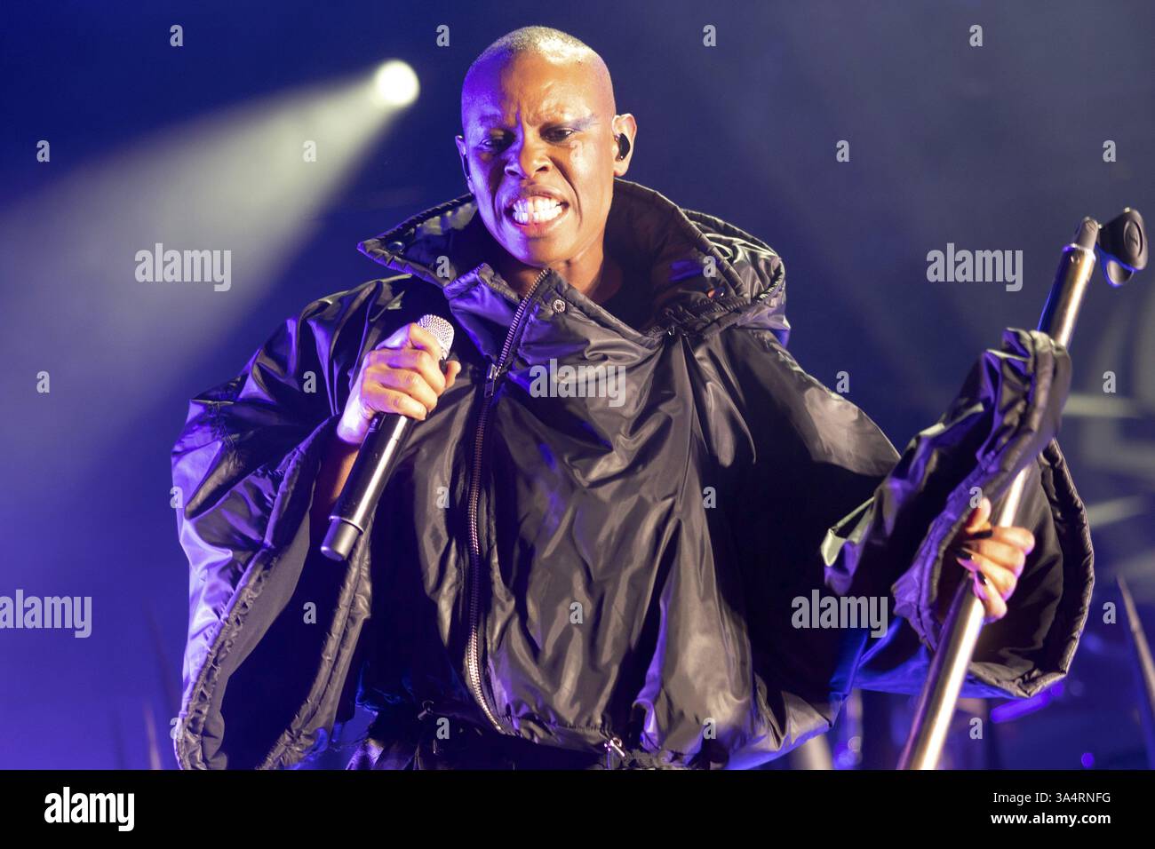 Deborah Anne Dyer aka Skin, singer of Skunk Anansie, live at the ...