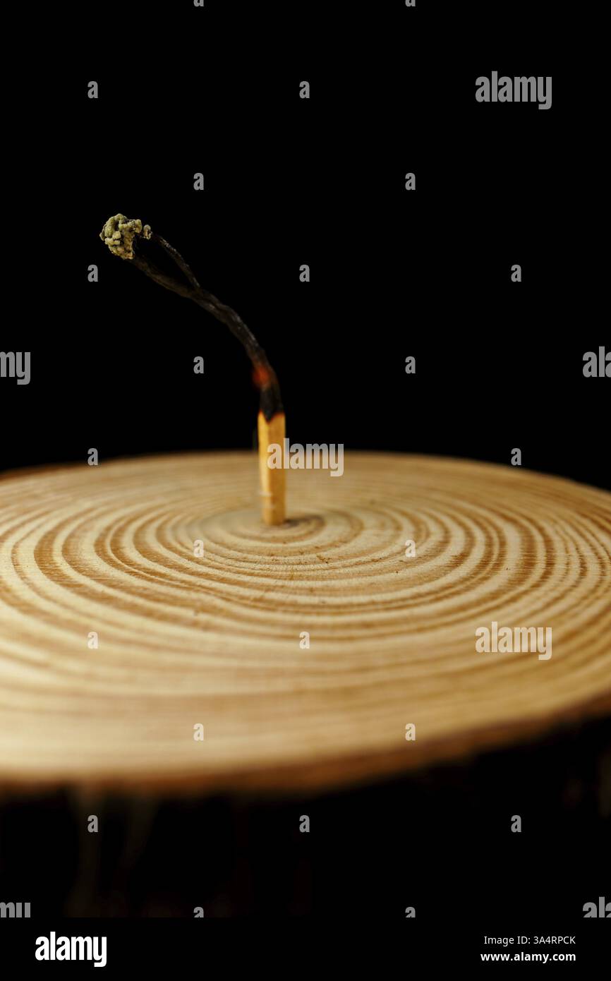 Close-up of an extinguished match isolated on black background with ...