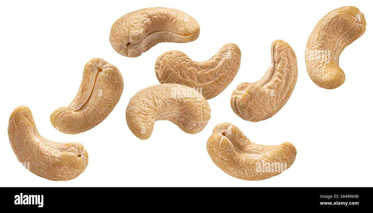 Falling cashew isolated on white background, package design element ...