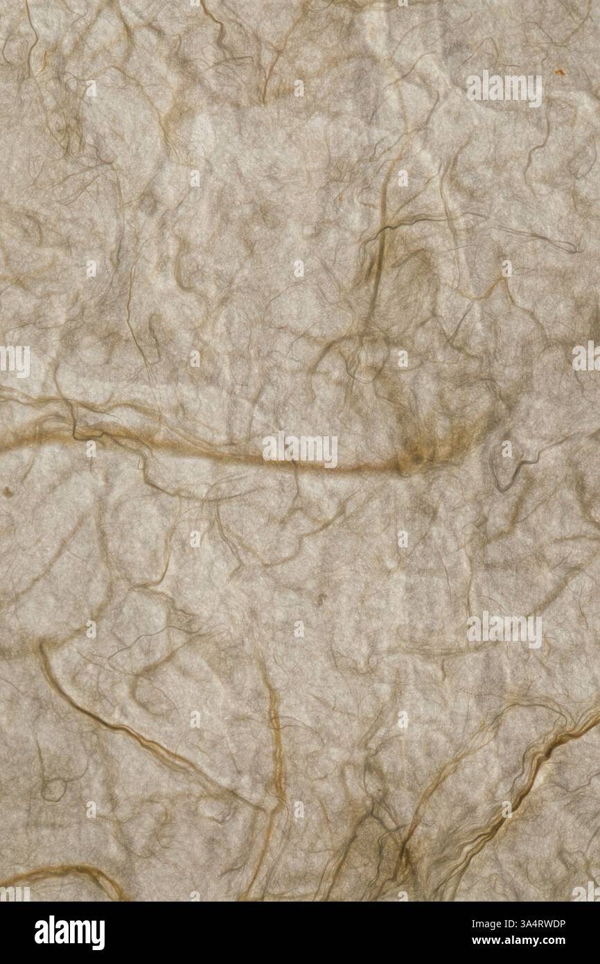 Visible threads hi-res stock photography and images - Alamy