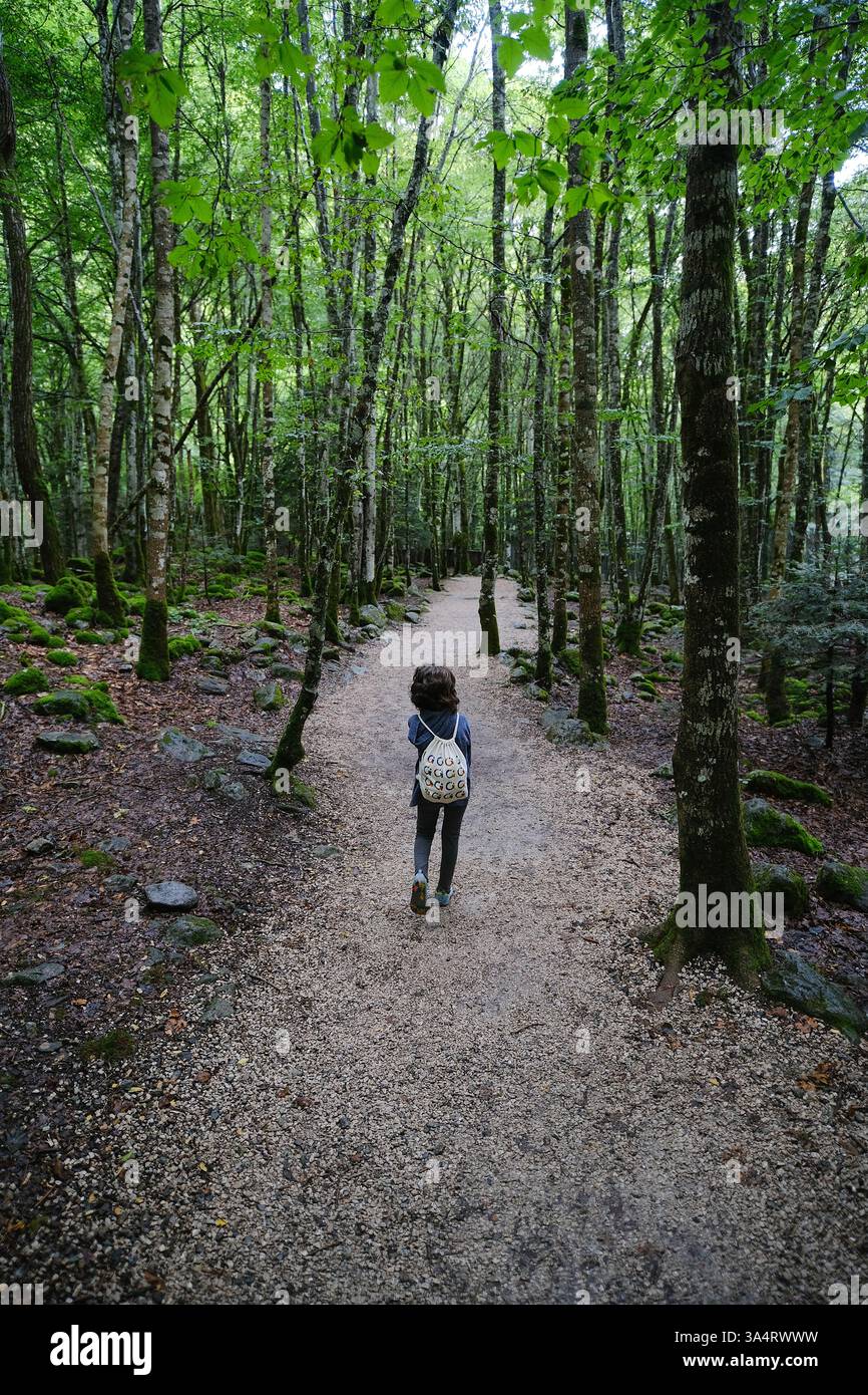 The natural environment in the Orlu Valley in Ariege region, french ...