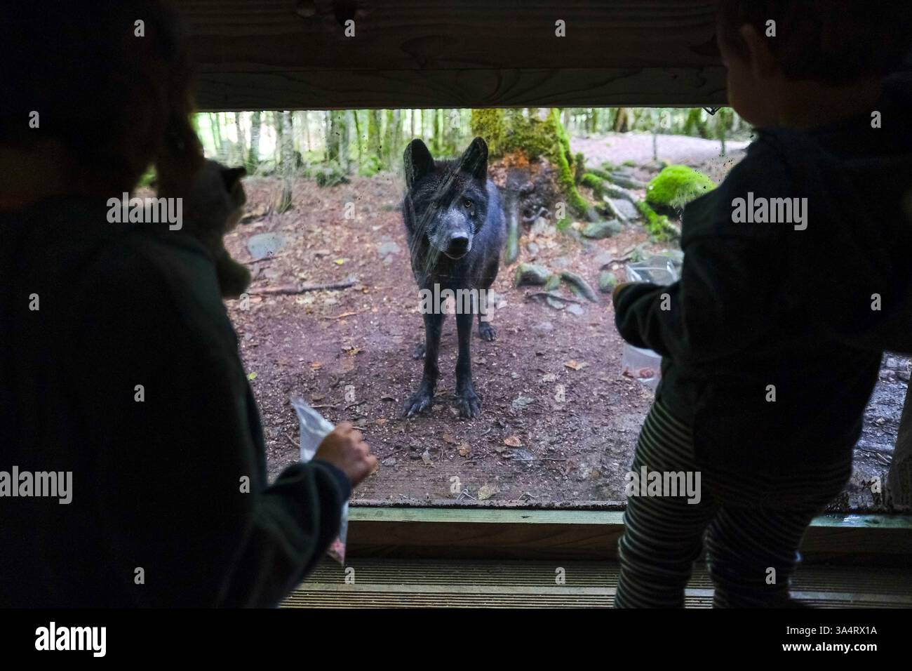 Bicicleta col hi-res stock photography and images - Alamy