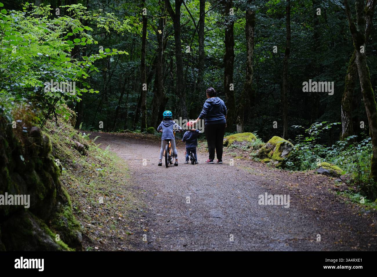 The natural environment in the Orlu Valley in Ariege region, french ...