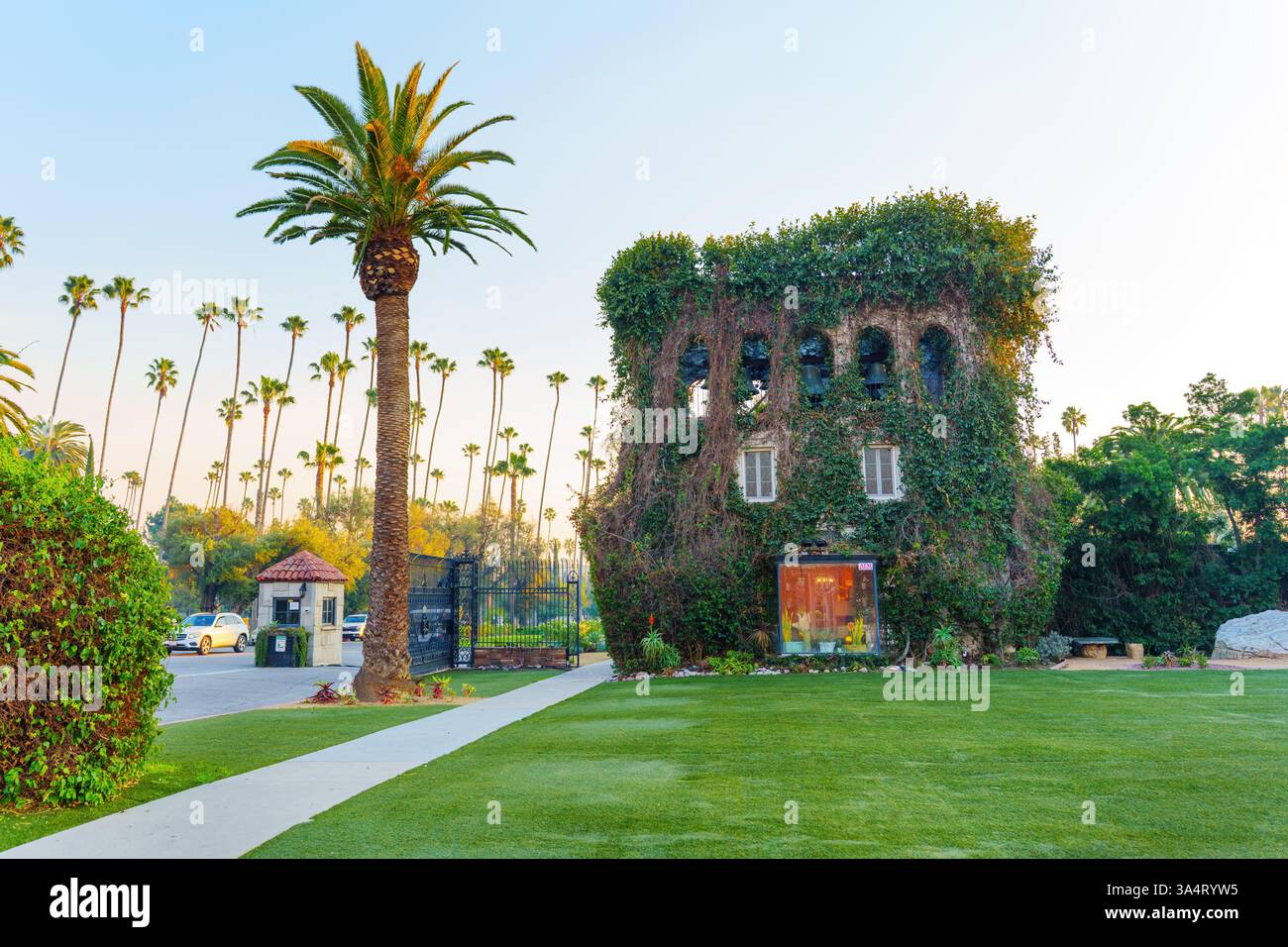 Los Angeles, California - January 10, 2025: Vibrant palm trees surround ...
