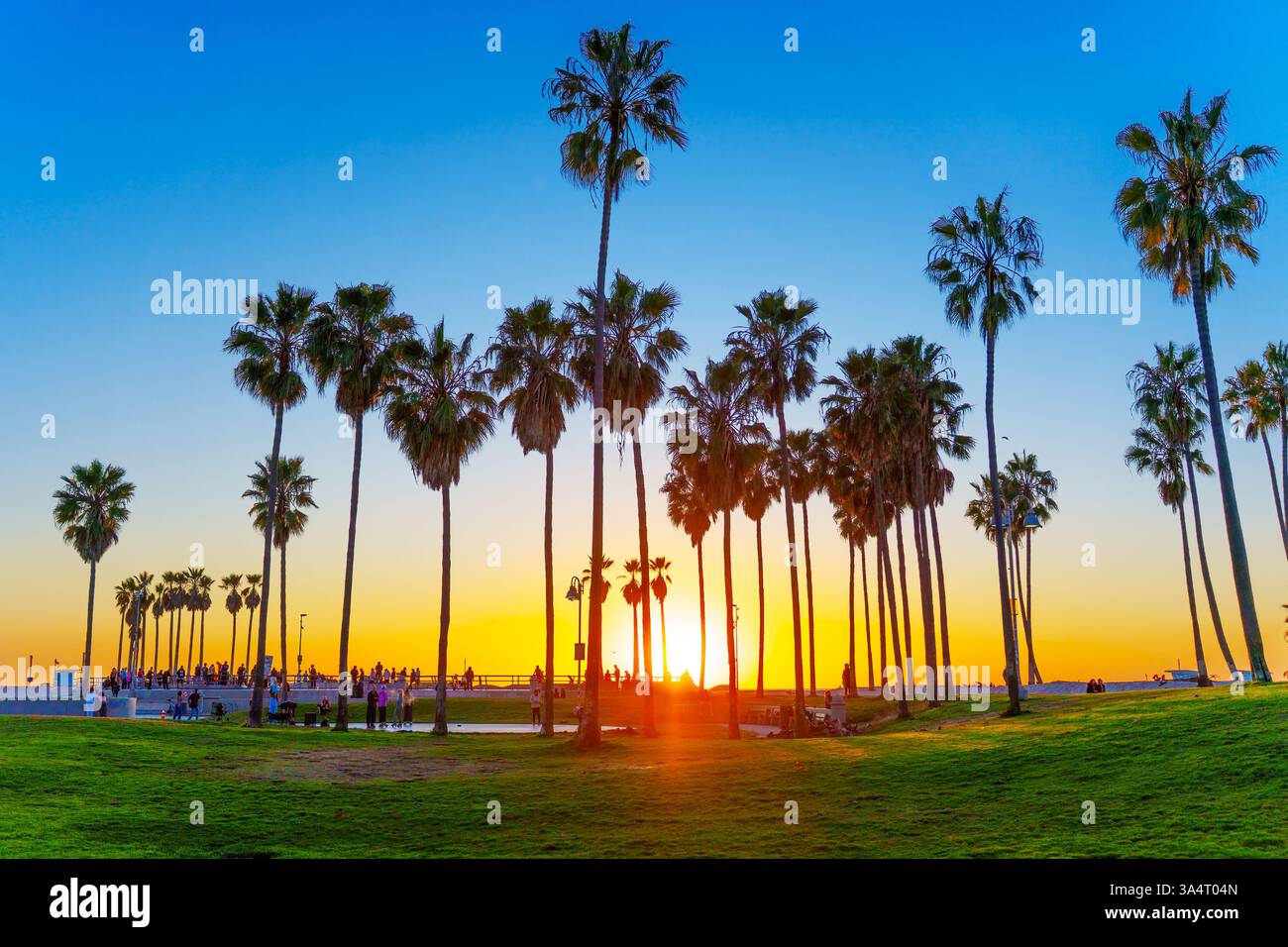 Venice Beach, California - January 16, 2025: Vibrant sunset in Venice ...