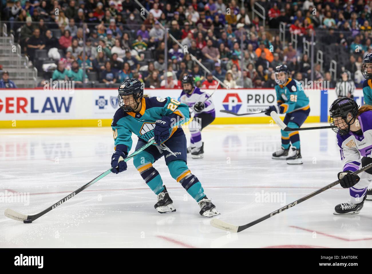 DETROIT, MI - MARCH 16: New York Sirens defenseman Allyson Simpson (20 ...