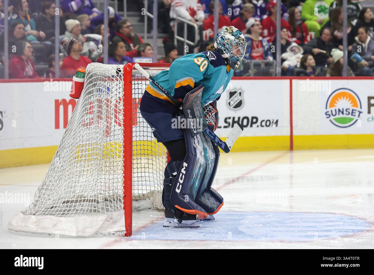 DETROIT, MI - MARCH 16: New York Sirens goalie Corinne Schroeder (30 ...