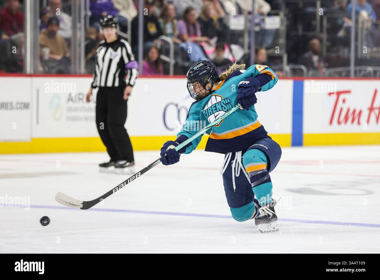 DETROIT, MI - MARCH 16: New York Sirens defenseman Allyson Simpson (20 ...