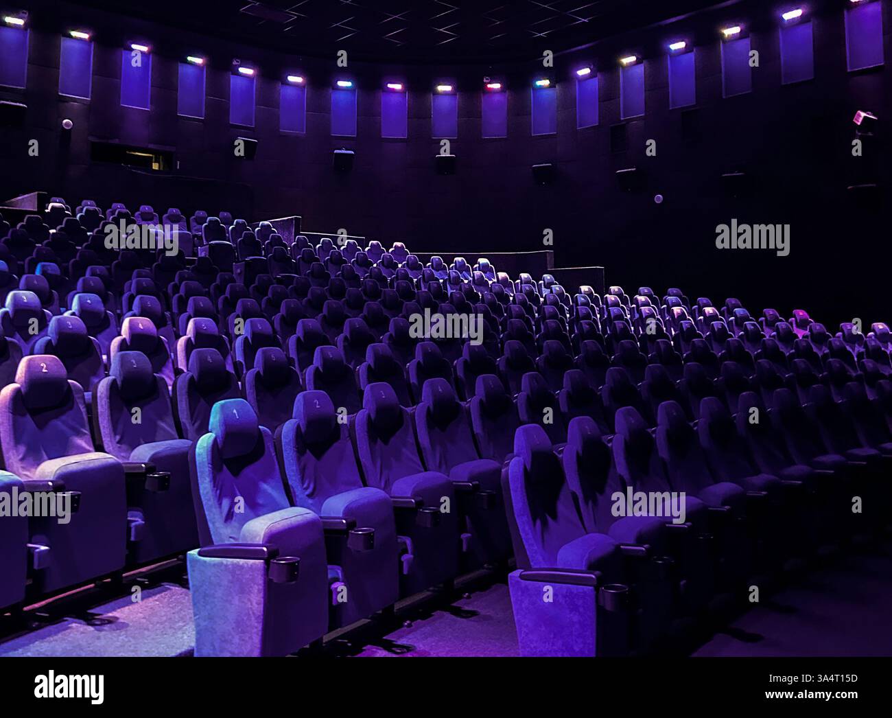 Cinema auditorium with empty purple chairs. Comfortable seats in movie ...