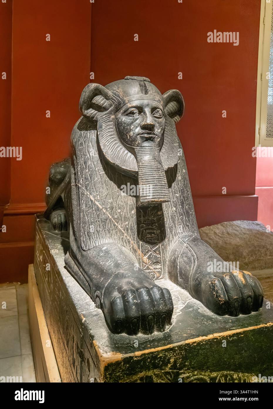 Egyptian Museum, Cairo, Egypt - January 13, 2025: The 3,860-year-old gray granite Sphinx statue ...