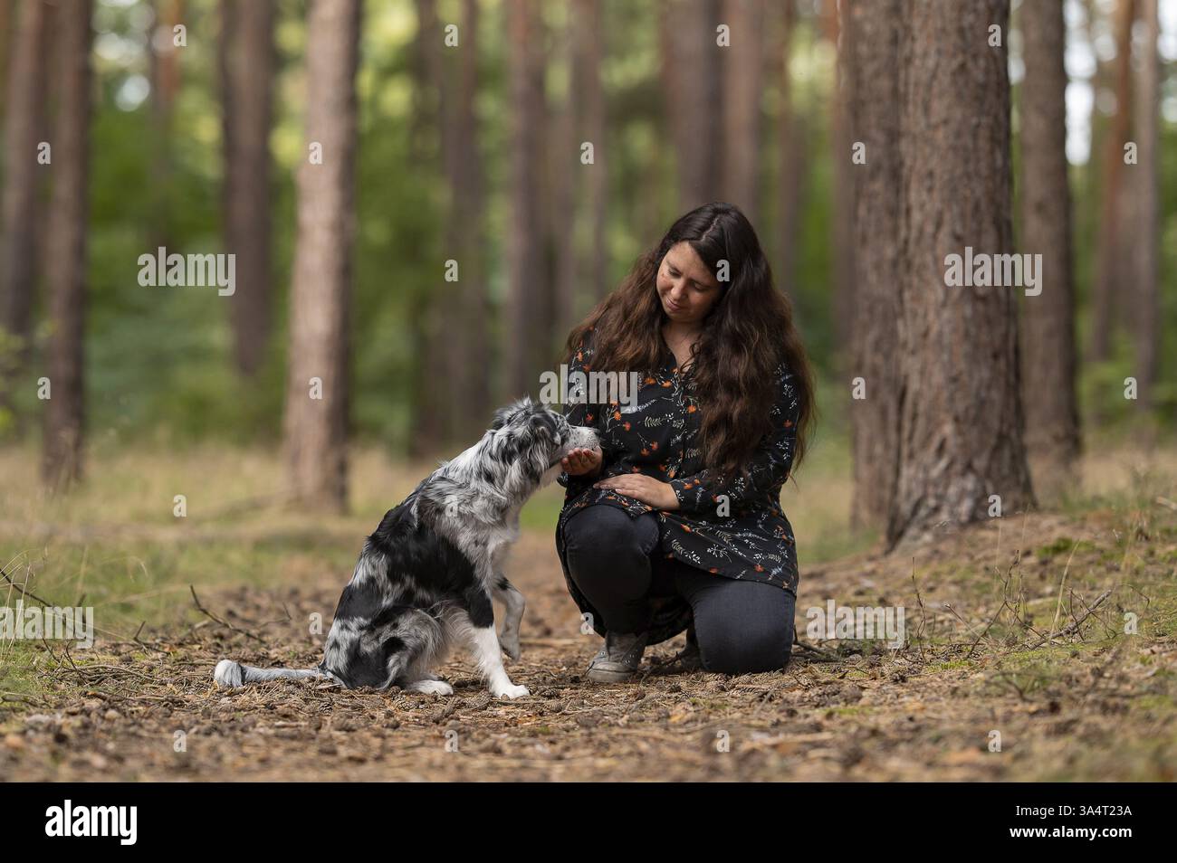 woman and Miniature Australian Shepherd Stock Photo - Alamy