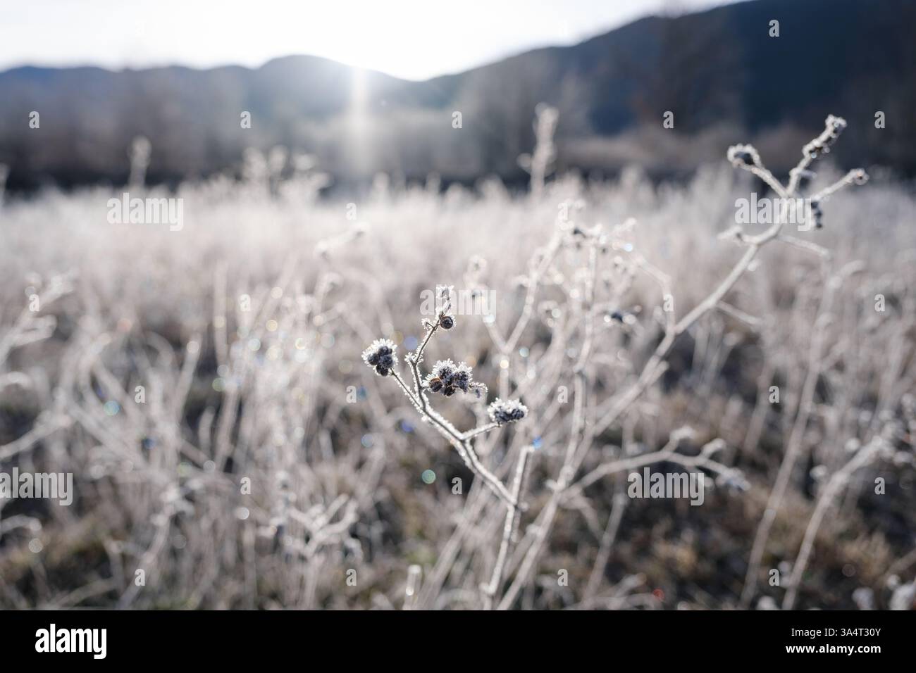 Clima anticiclon hi-res stock photography and images - Alamy