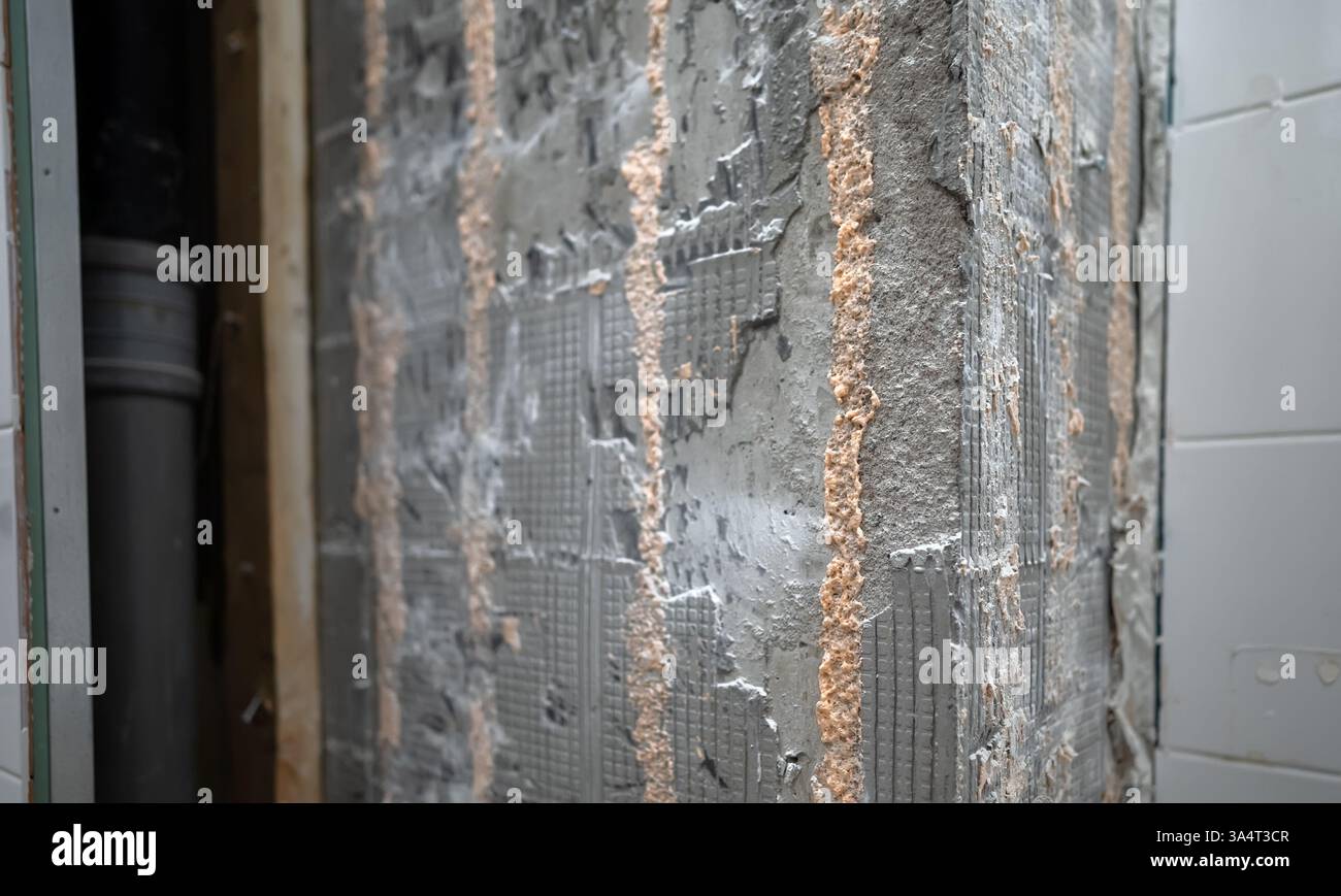 Wall stripped of drywall, showing visible mold Stock Photo - Alamy