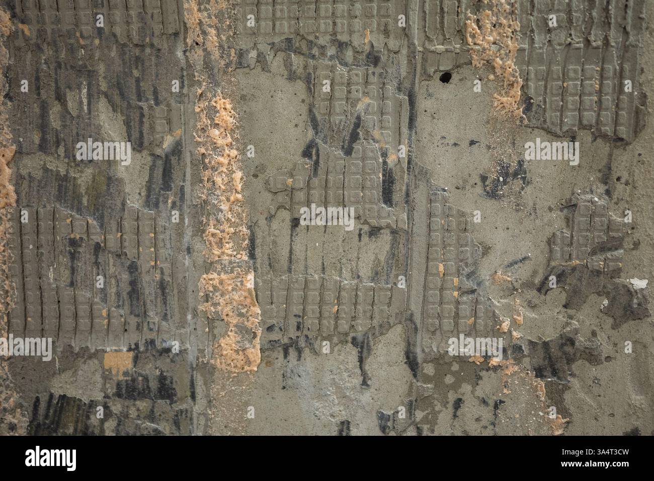 Wall stripped of drywall, showing visible mold Stock Photo - Alamy