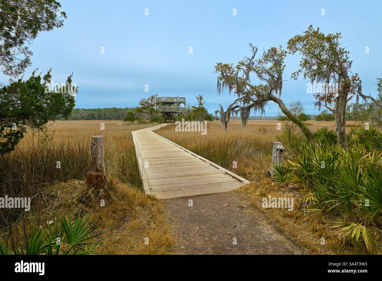 Observation tower with boardwalk along the Big Ferry Trail at Skidaway ...