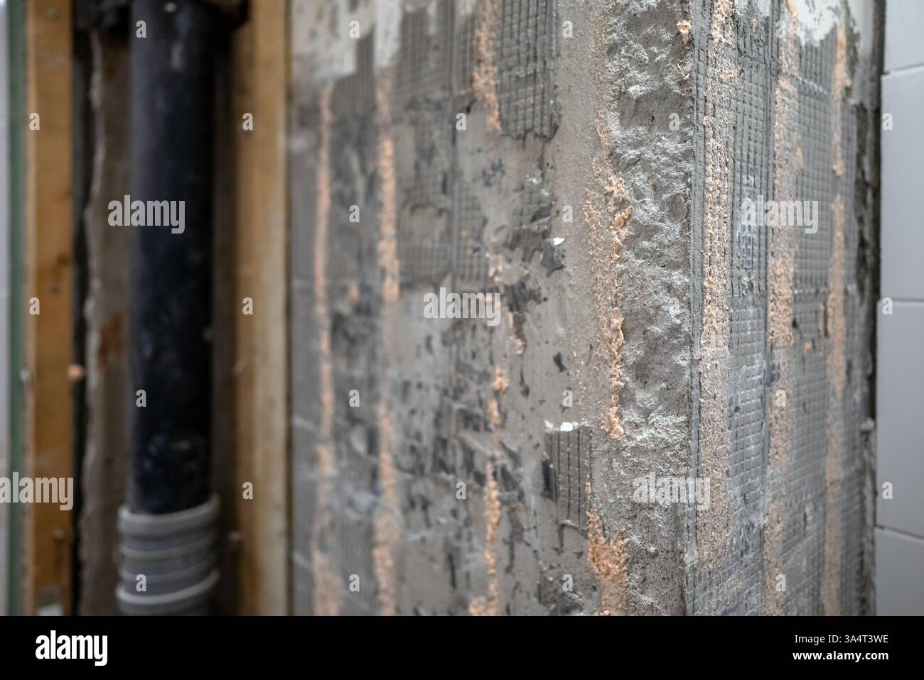 Wall stripped of drywall, showing visible mold Stock Photo - Alamy