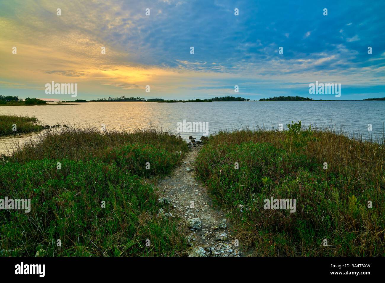 Path leading to inlet at Shell Mound Campground near Cedar Key, FL ...