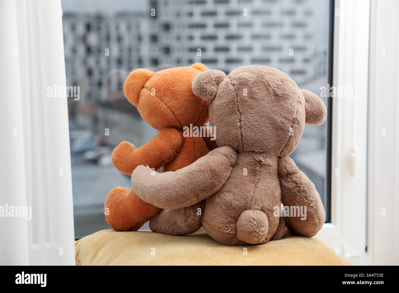 Teddy bears on window sill at home, back view Stock Photo - Alamy