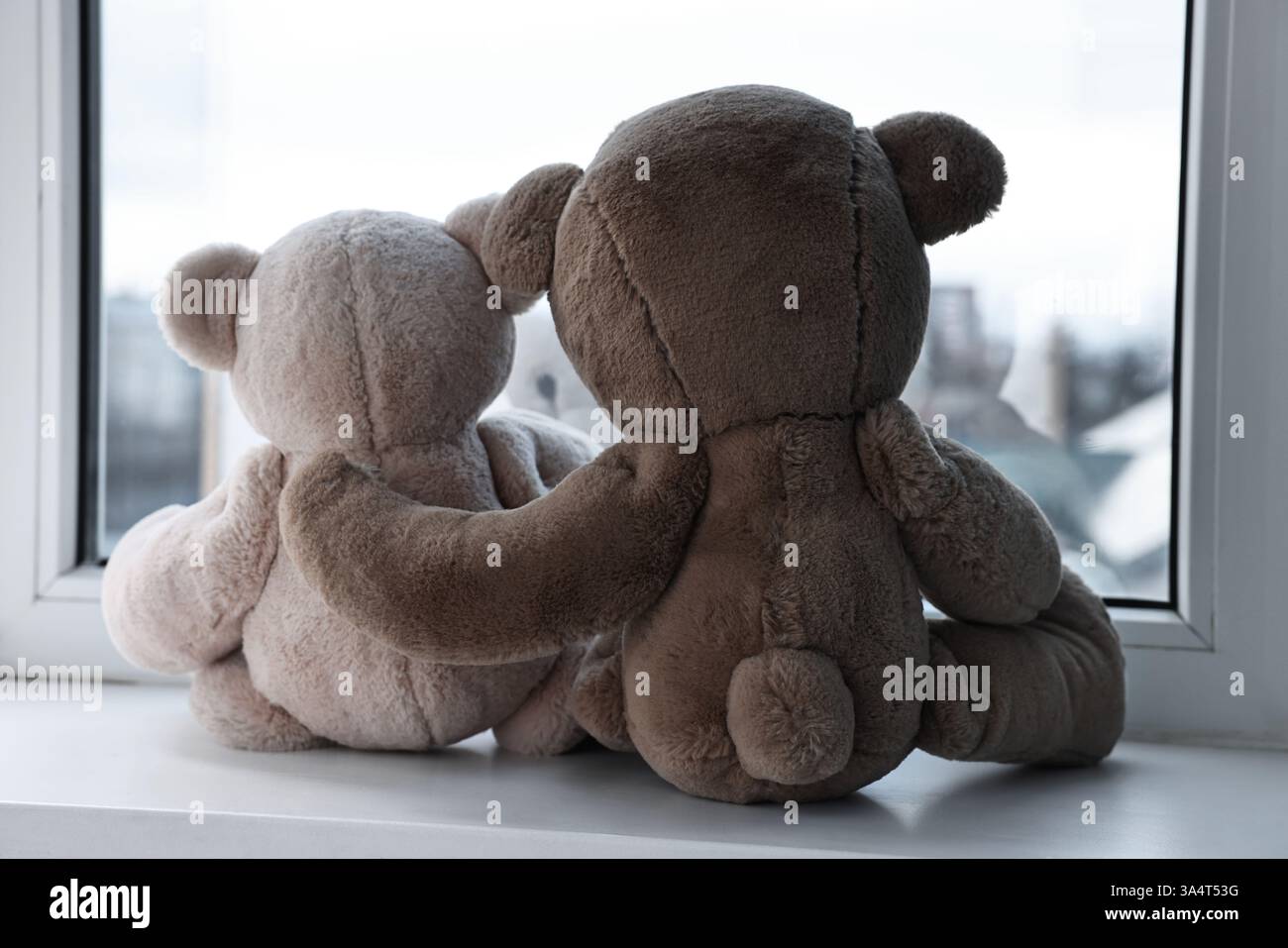 Two cute teddy bears near window indoors, back view Stock Photo - Alamy