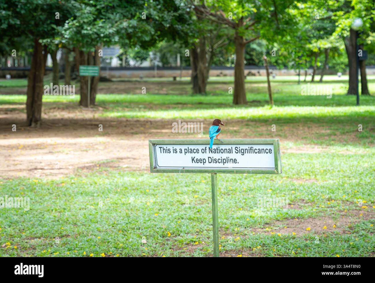 Colombo Sri Lanka - September 2 2024; Colourful kingfisher on sign ...