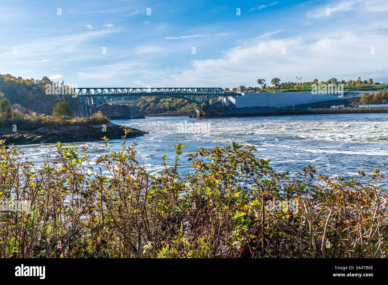 A view over shoreline vegetation of the reversing falls at Saint John ...