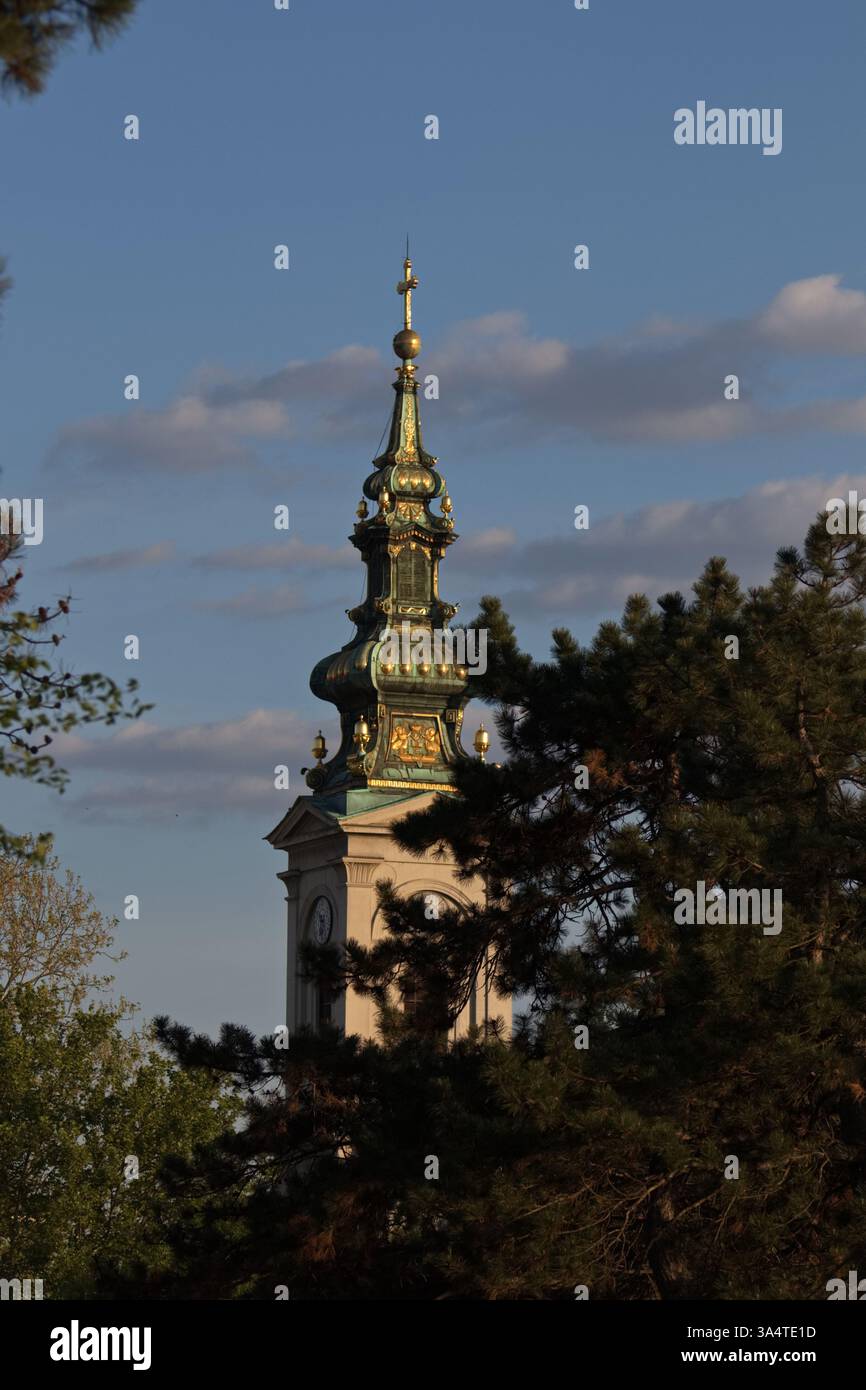 A beautifully designed clock tower emerges from the surrounding trees ...