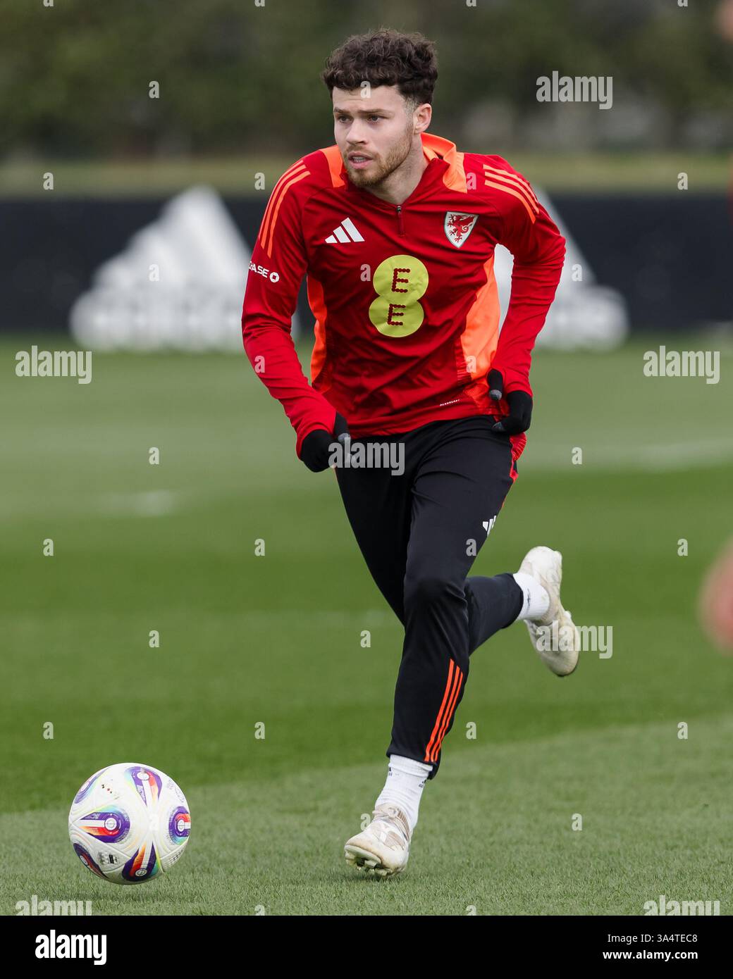 PONTYCLUN, UK. 19th Mar, 2025. Wales' Neco Williams during a training ...