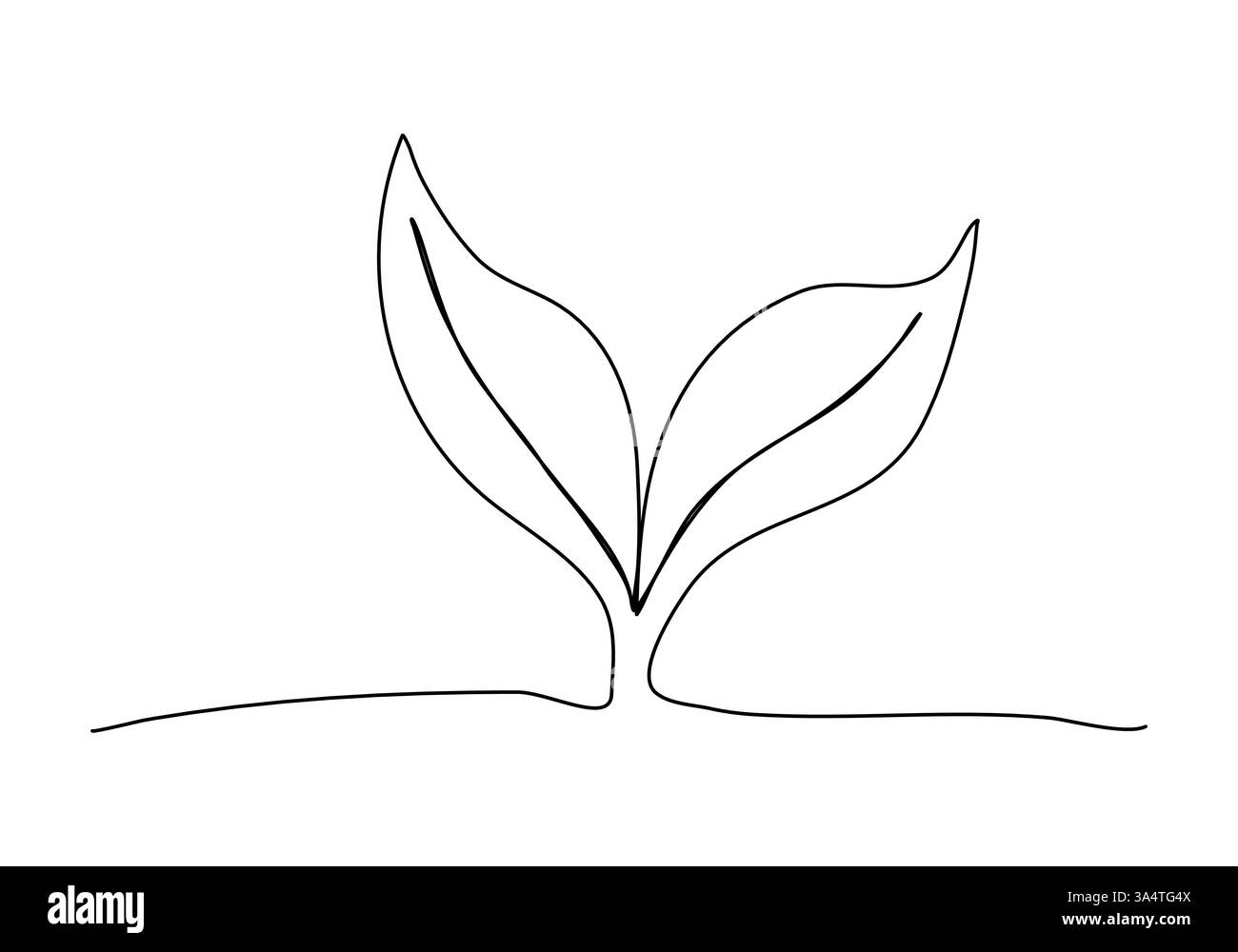 Plant one line drawing vector illustration Stock Vector Image & Art - Alamy