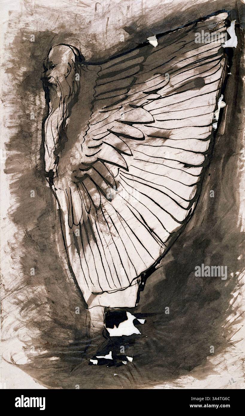 Victor Hugo - Old Man in Bird Costume Stock Photo - Alamy