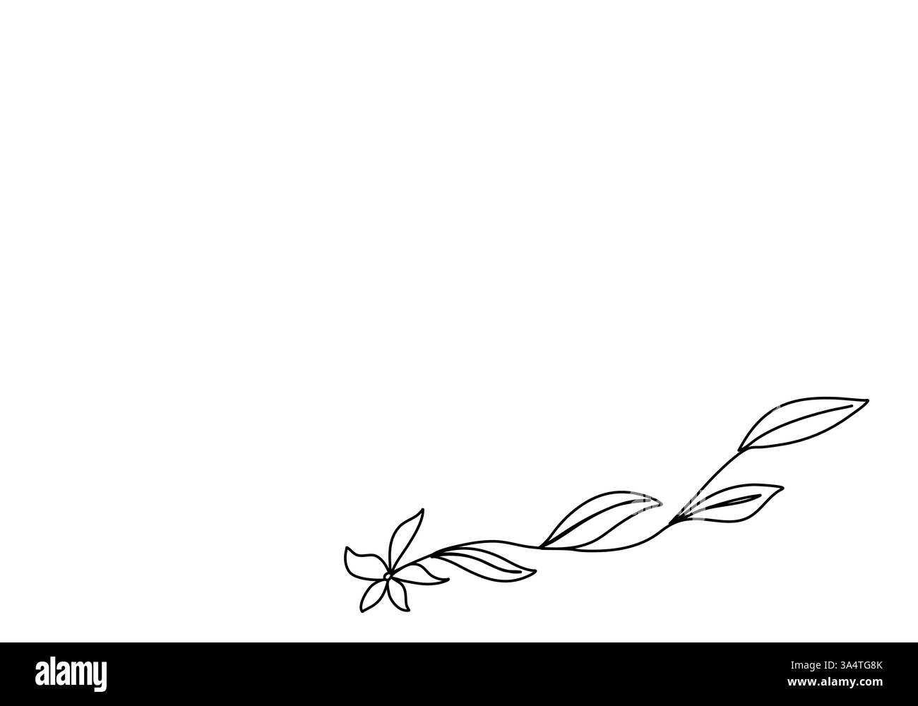 Flower floral corner frame. One line drawing vector illustration Stock ...