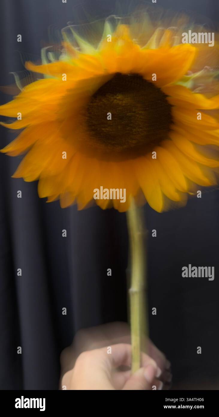 Sense of organic motion hi-res stock photography and images - Alamy