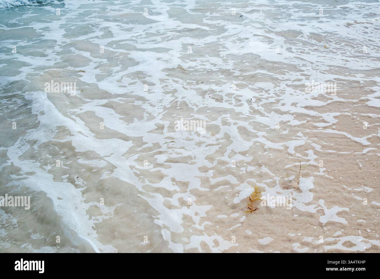 Embrace the serenity of gentle waves washing over a sandy shore ...