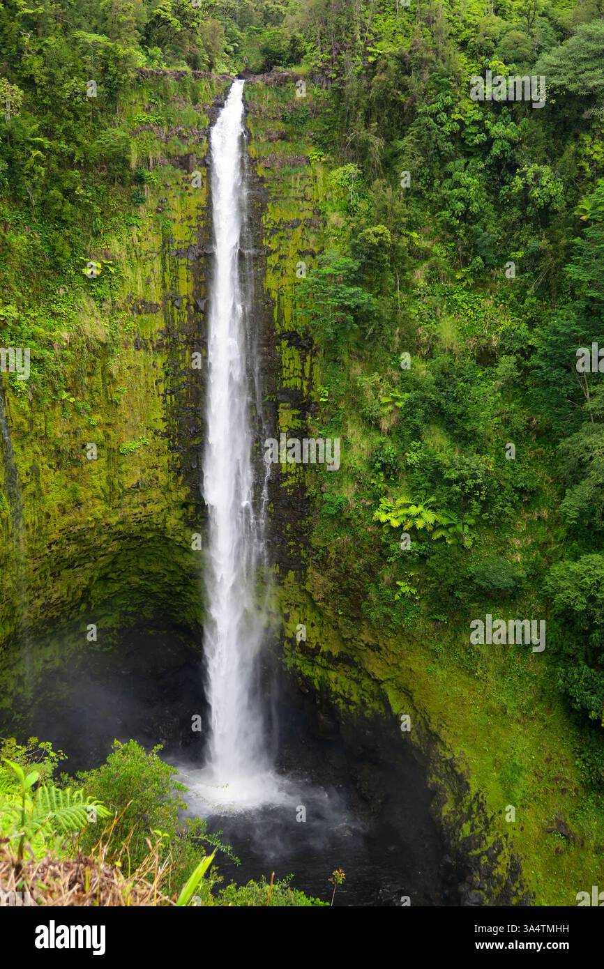 'Akaka Falls at 'Akaka Falls State Park. Hawaii, Big Island USA June ...