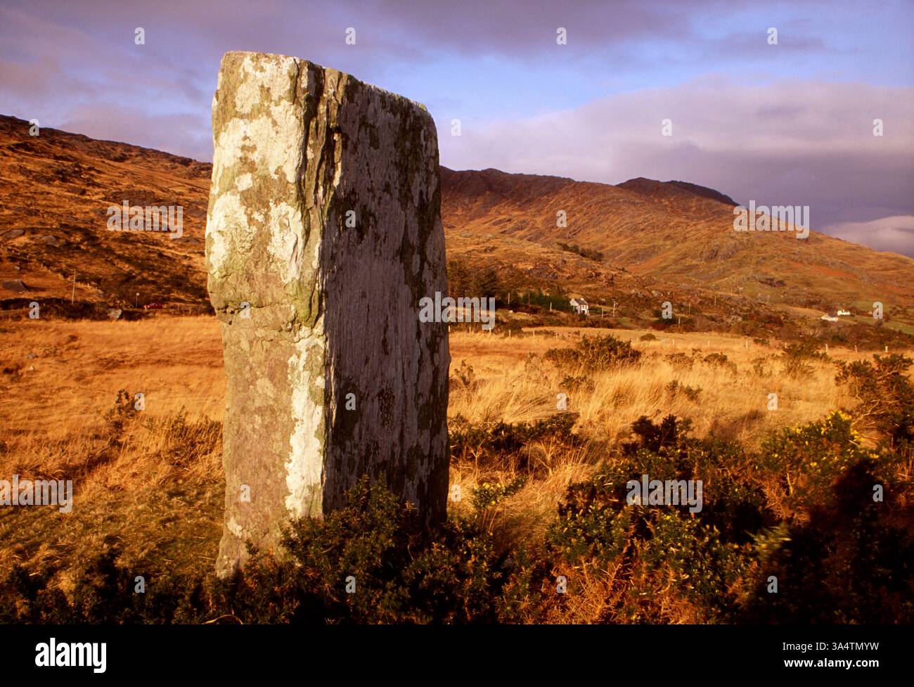 Leitrim beg standing stone hi-res stock photography and images - Alamy