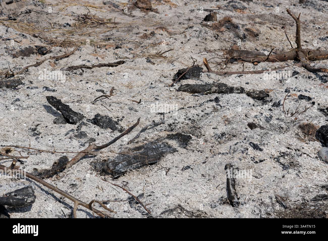 burning grass, burning field, burning earth Stock Photo - Alamy