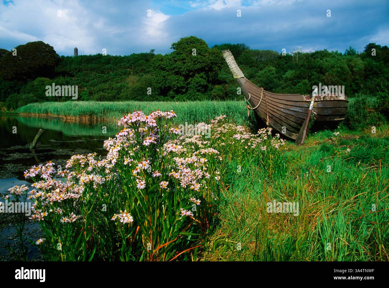 Irish National Heritage Park, Ferrycarrig,County Wexford,Ireland Stock ...