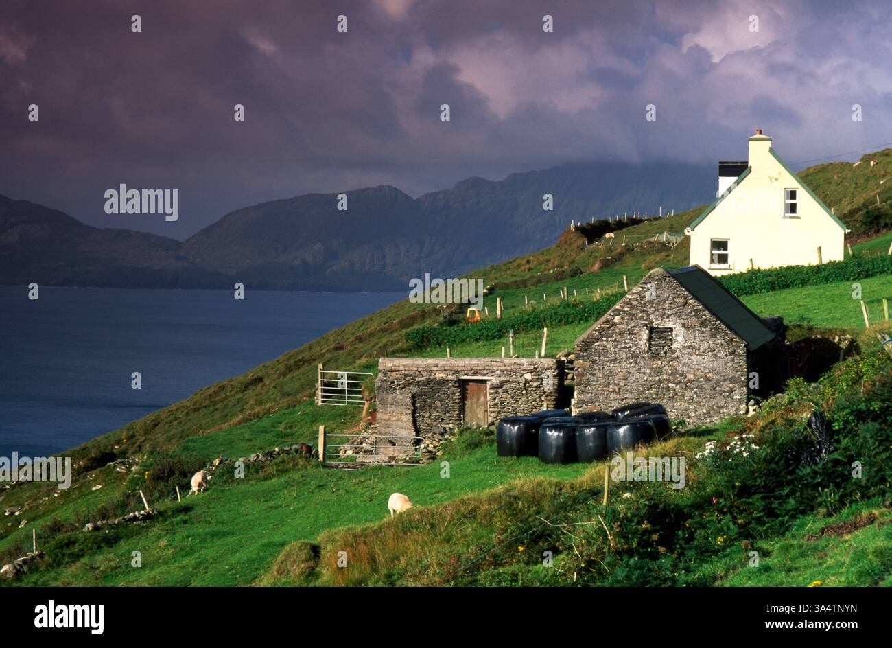 Farmhouse,Beara Peninsula,County Cork,Ireland Stock Photo - Alamy