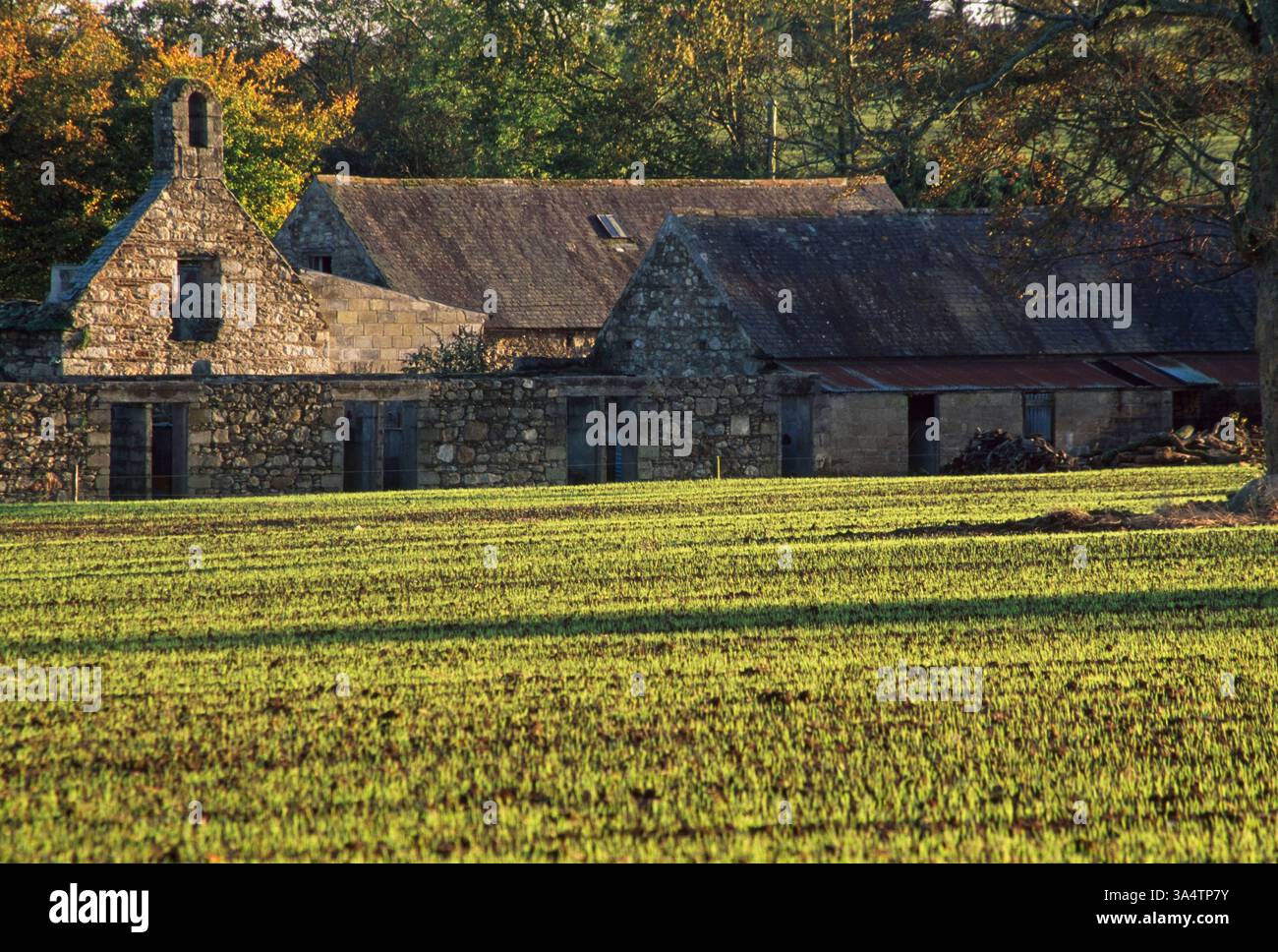 Clonroche hi-res stock photography and images - Alamy