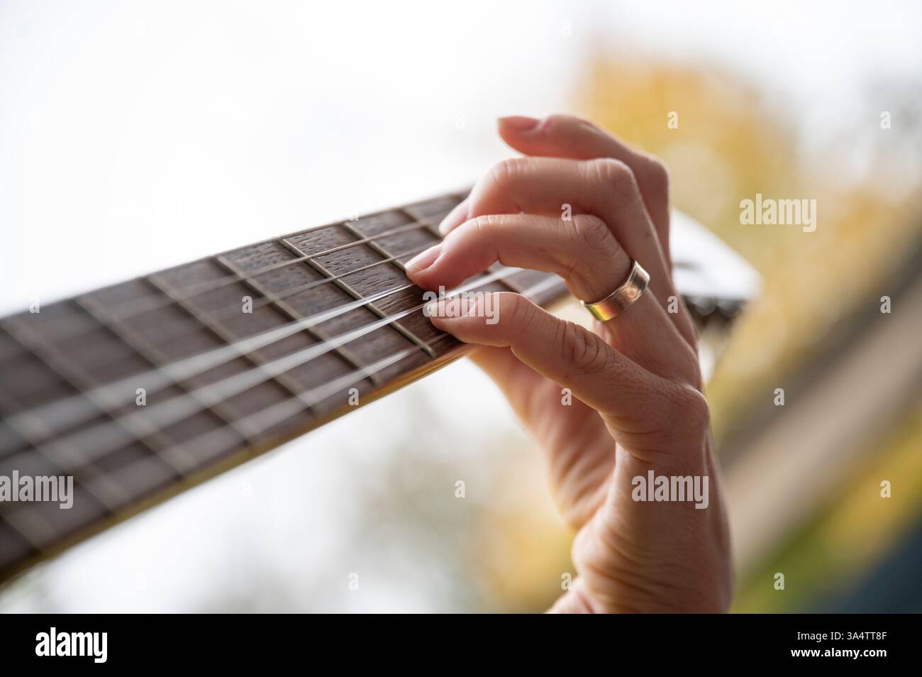 A closeup of a persons hand pressing down on the frets of a guitar ...