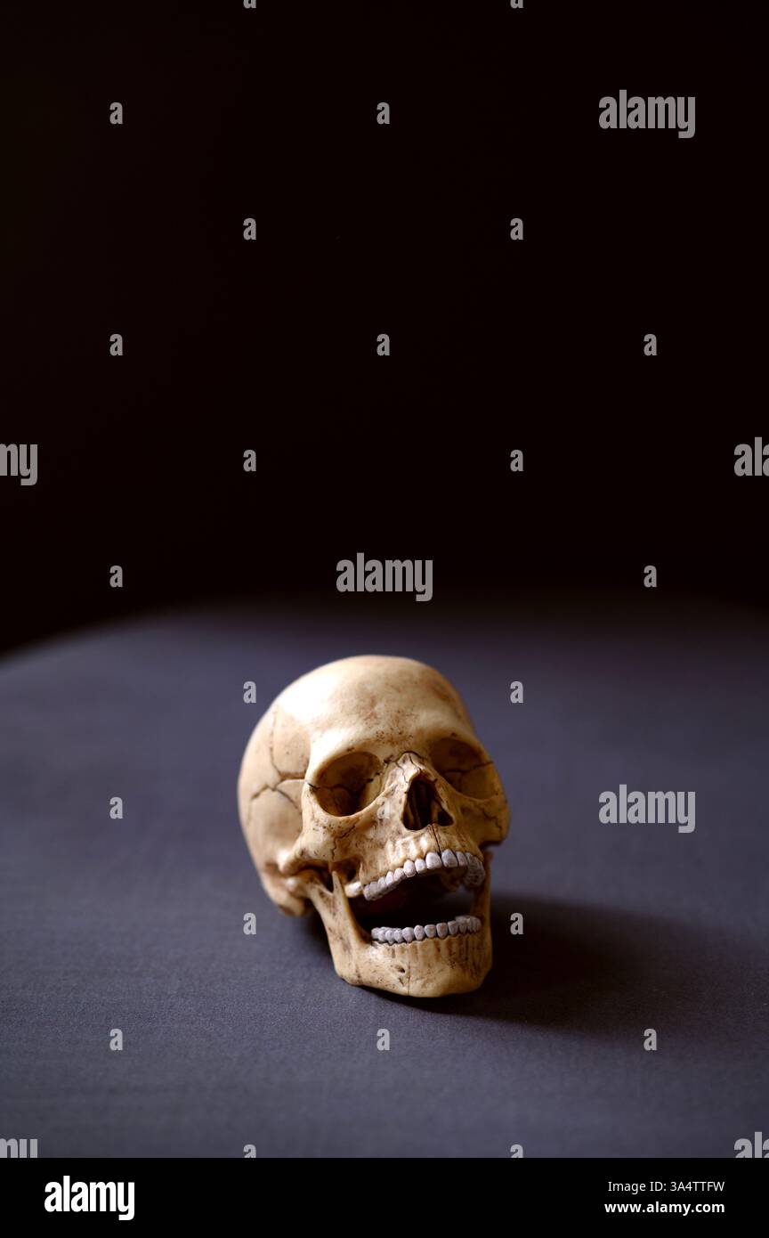 Artificial very realistic human skull on the table. Copy space. Dark ...