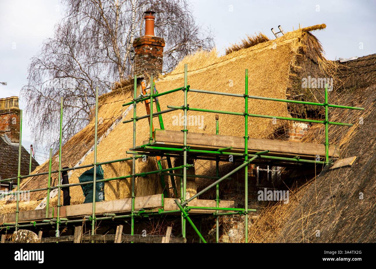 Traditional thatch roof undergoing restoration with green scaffolding ...