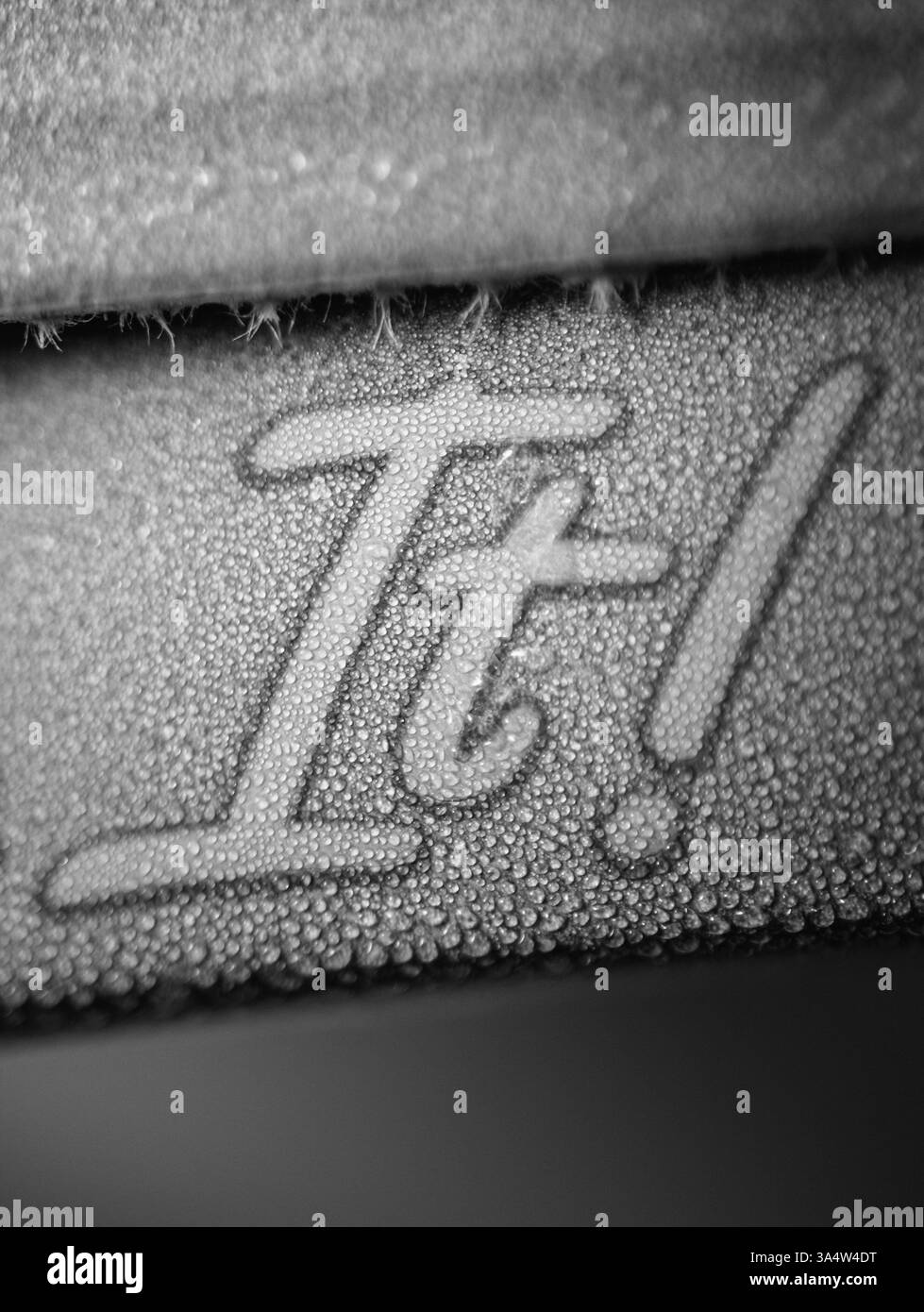 Close up white words Black and White Stock Photos & Images - Alamy