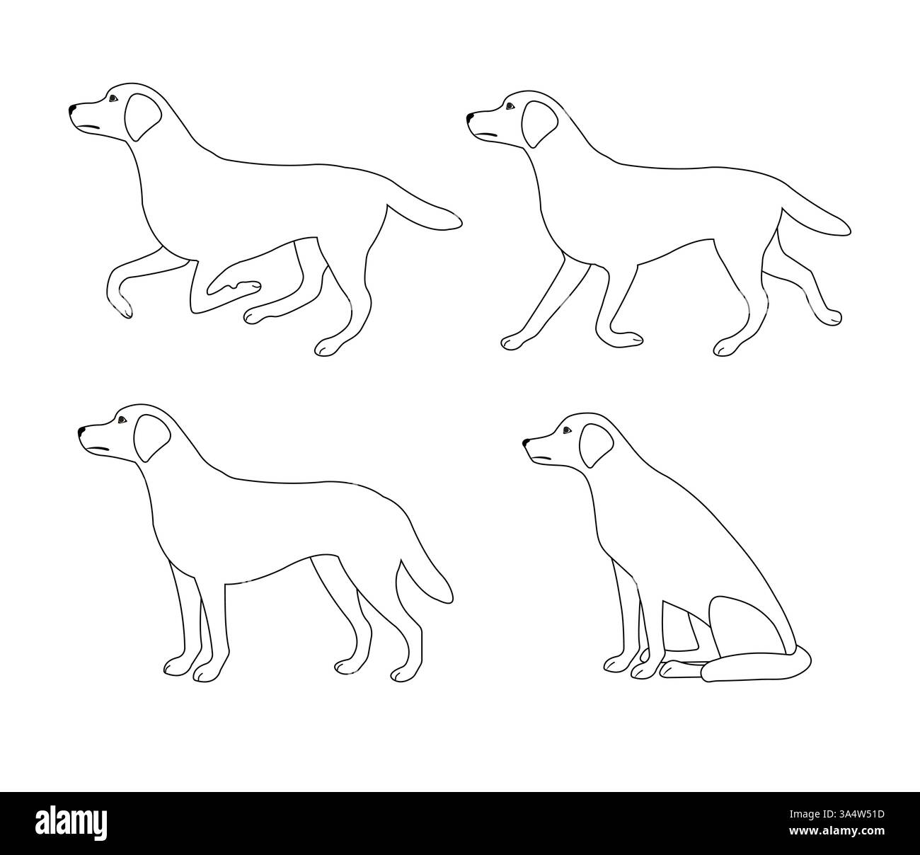 Vector set of flat hand drawn outline labrador dog isolated on white ...