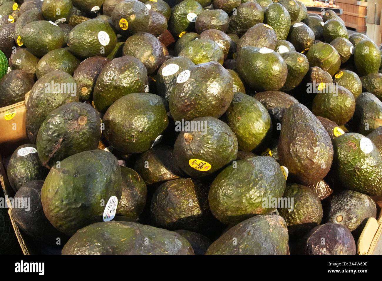 This is a display of Avacados imported from Mexico in a Pittsburgh ...
